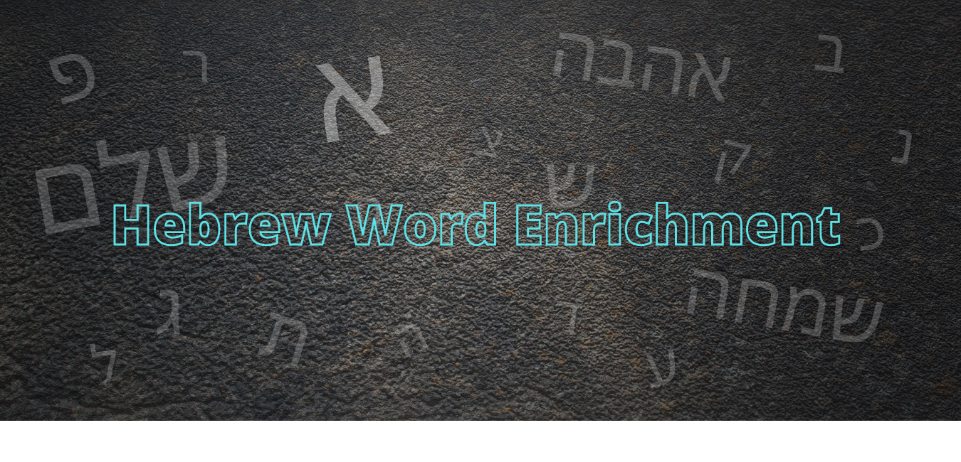 Love Ahavah - Kehilat HaTikvah